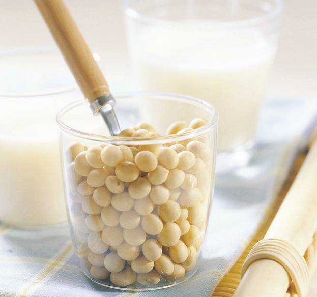 Instant Soya Bean Milk Powder Soy Milk Powder Soy Powder Sweet No Bean Taste Dehull Enzyme