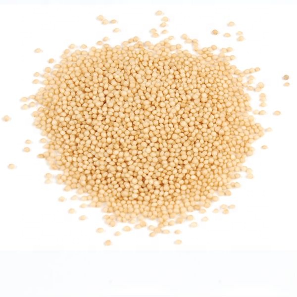 Red Color Amaranth Seeds For Sale South Africa Price Supplier 21food